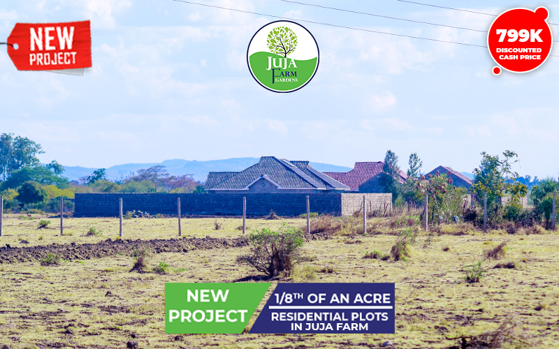 Juja Farm Plots For Sale - Fanaka | Your Ideal Real Estate Partner